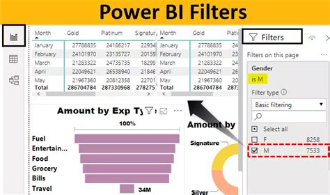 Jak Dodać Filtry W Power Bi 3 Rodzaje Filtrów Z Przykładami Excel Vba I Power Bi 2025