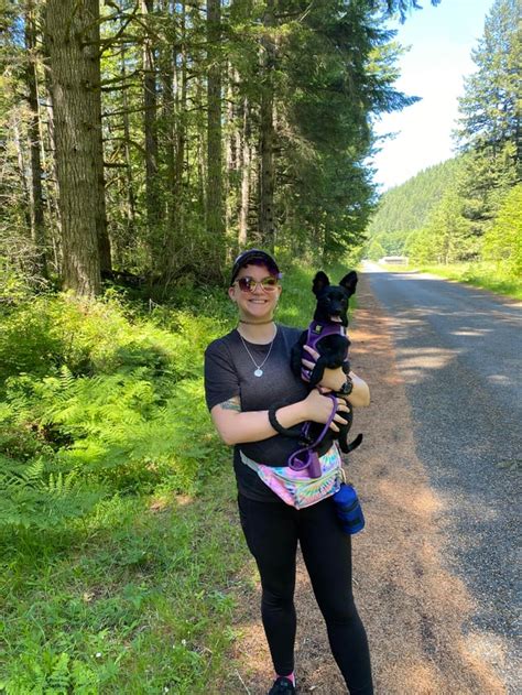 Hip Dysplasia Seeking More Info From Owners Rchihuahua