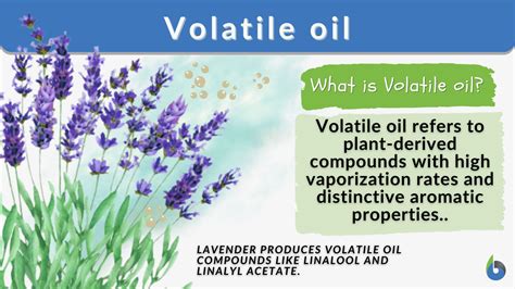 volatile oil definition and examples biology online dictionary
