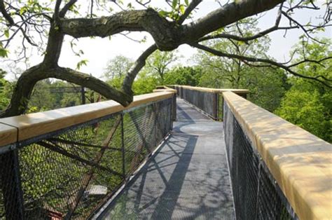 Kew Tree Top Walkway By Marks Barfield Architects
