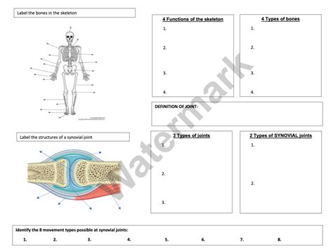 Cambridge Igcse Knowledge Organiser Skeletal System Teaching Resources