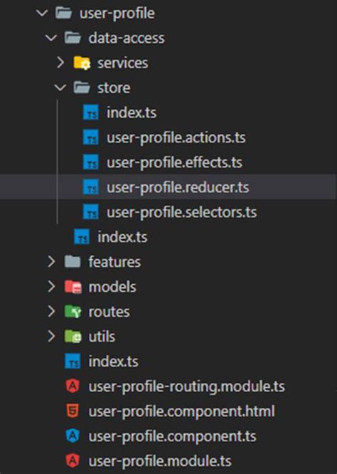 Hamid Hassani On Linkedin Implementing Ngrx In Angular A