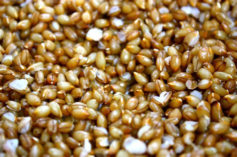 My Own Private Kitchen Spring Vegetable And Rye Berry Salad