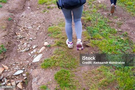 오르막 상승 회색 레 깅 스 핑크 스 니 커 즈에 푸른 잔디와 통로 걷고 하는 Sportswoman의 근접 보기 여행 및 신선한 공기에서 산책 중 각도에 대한 스톡 사진 및