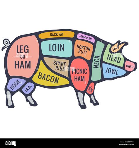 Primal Cuts Of Pork Diagram