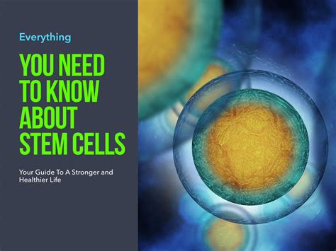 PDF Everything YOU NEED TO KNOW STEM CELLS DOKUMEN TIPS