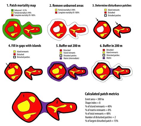 1 Conceptualization Of The Spatial Language And Metrics Proposed By Download Scientific