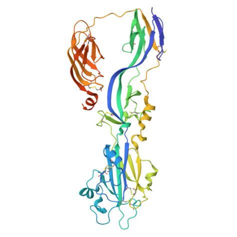 Rcsb Pdb 5khc Structure Of Rubella Virus E1 Glycoprotein Ectodomain