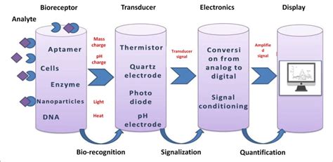 Schematic Representation Of A Biosensor Download Scientific Diagram