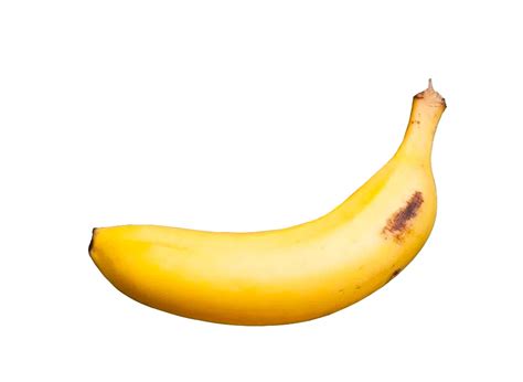 Scp 1417 Wiki Fundação Scp Fandom