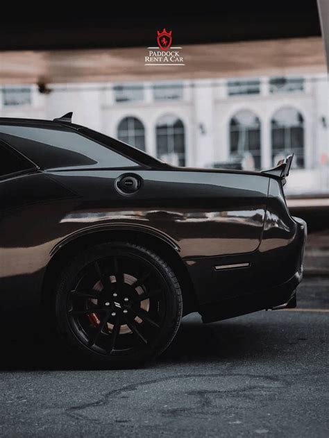 Rent Dodge Challenger Srt In Dubai Paddock Rent A Car