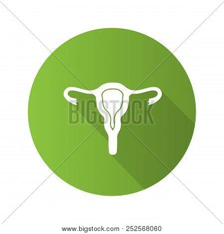 Vagina Images Illustrations Vectors Free Bigstock