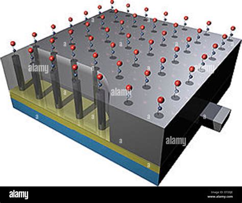 The Carbon Nanotube Sensor Developed By Pnnl Is A Highly Sensitive Device Designed To Detect