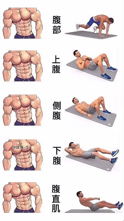 全方位腹肌训练每个动作做3 6组，每组做15次，练出你的完美八块腹肌马甲线。 健身 腹肌训练 每日一练 Youtube