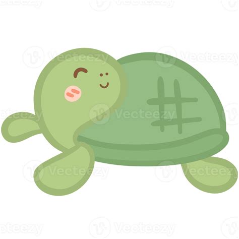 Cute Green Turtle 54792819 Png