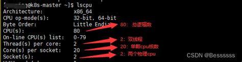服务器硬件信息查询，cpu、内存、硬盘 怎么查看服务器的cpu和内存 csdn博客