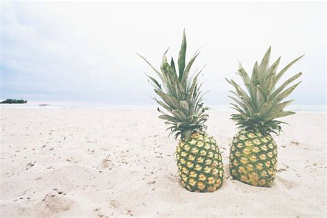 Pineapple And Fertility Debunking Myths And Revealing The Truth