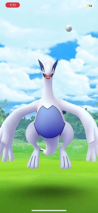 야생 루기아 Youtube