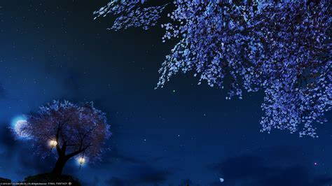 Unit 2 Assignment 3 A Simple Blog