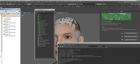 Solved Xgen Issue Failed To Open File No Collection Were Imported