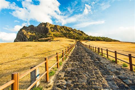 제주도에서 꼭 경험해야 할 5가지 제주도 여행코스 추천 Best 5 Go Guides