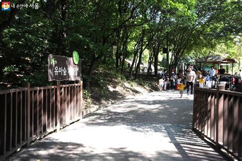 서울시 내 손안에 서울