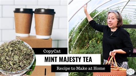 Make Your Own Mint Majesty Tea Starbucks Copycat Recipe