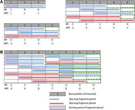 The Fragment Placement Pattern Space For Various Transcript Lengths