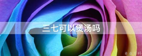 三七可以煲汤吗 业百科