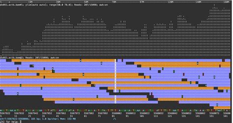 Variant Calling How To Quickly Determine Mutations In A Read Of A Sam File Bioinformatics