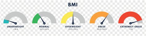 Body Mass Index Or Mass Index Scale Types Of Bmiweight Loss Concept