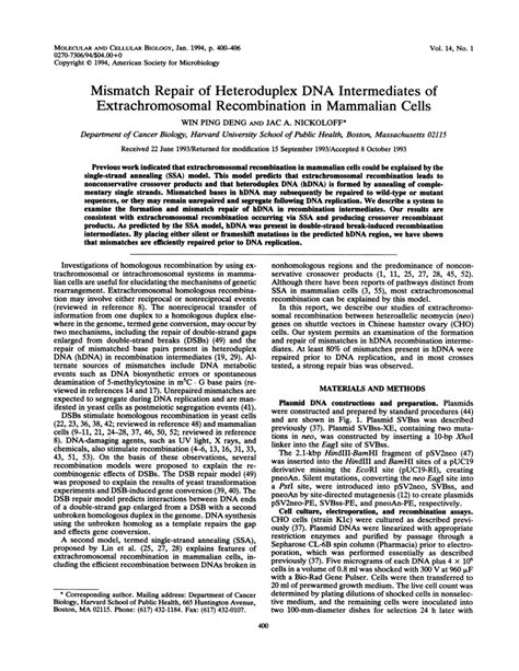 Pdf Mismatch Repair Of Heteroduplex Dna Intermediates Of Extrachromosomal Recombination In