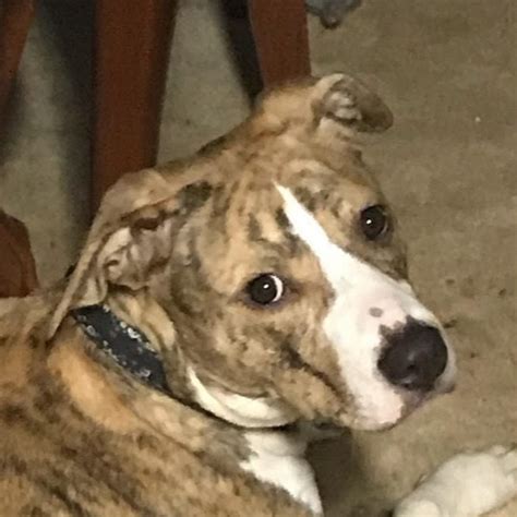 Winnie Woo Animations Youtube