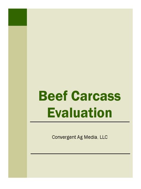 Beef Carcass Evaluation Pdf Vertebra Musculoskeletal System