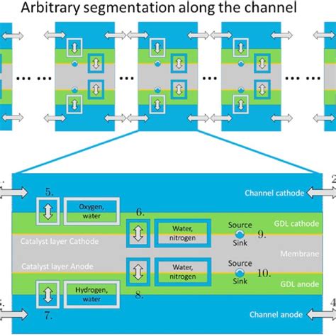 Schematic Representation Of The Seven Regions Modelling Approach Download Scientific Diagram
