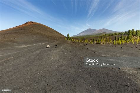 화산 아레나 네그라스와 용암 지대의 파노라마 전망 밝은 푸른 하늘과 흰색 구름입니다 테이데 화산을 배경으로 한 테이데 국립공원 테네리페 카나리아 제도 스페인 0명에 대한