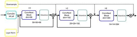 Convnext Based Fine Grained Image Classification And Bilinear Attention