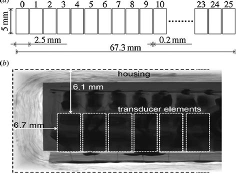 A Linear Ultrasound Transducer Array With 25 Elements B X Ray