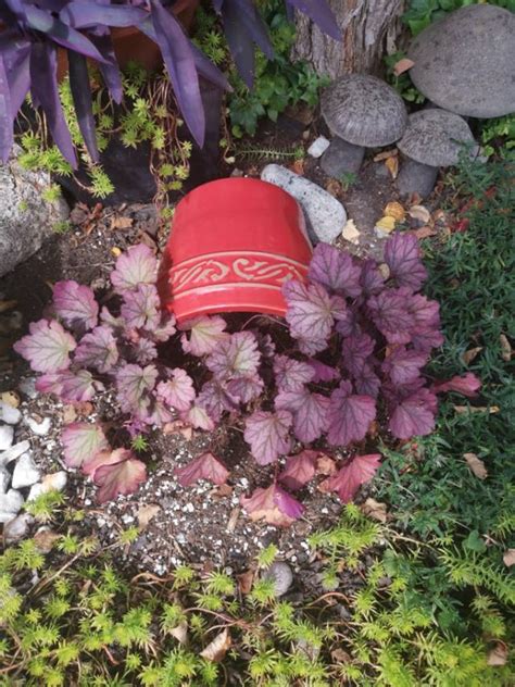 聯想到全紅嬋的水花消失術 遠見雜誌