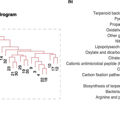 Microbial Gene Expression Profiling Of Subjects A The Samples Were Download Scientific Diagram