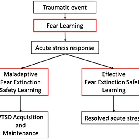 Theoretical Relationship Between Trauma Emotional Memory And Learning Download Scientific