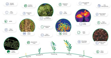 Hiphen Plant Phenotyping And Crop Image Analytics Solutions