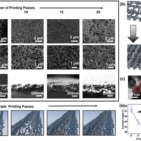 Morphology And Microstructure Of The Structurally Integrated 3d Download Scientific Diagram