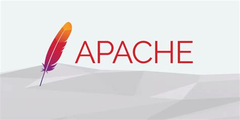 Top 5 Des Serveurs Web Pour Windows Et Linux Codewatchers