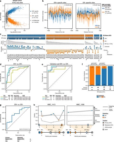 Griffin Enables Accurate Prediction Of Breast Cancer Estrogen Receptor Download Scientific