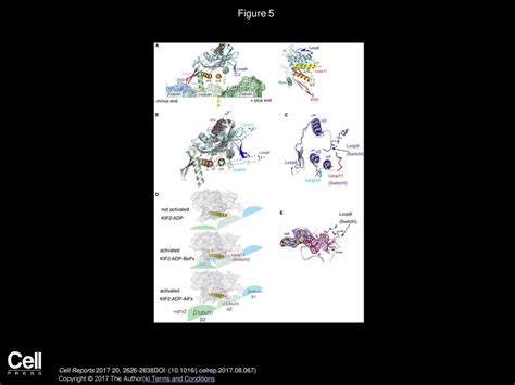 Volume 20 Issue 11 Pages September 2017 Ppt Download