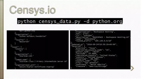 Osint Tools For Security Auditing With Python Pdf
