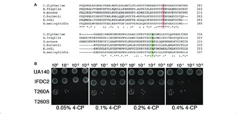 Ephes Negative Selection In S Mutans A The Clustal Omega Sievers Download Scientific