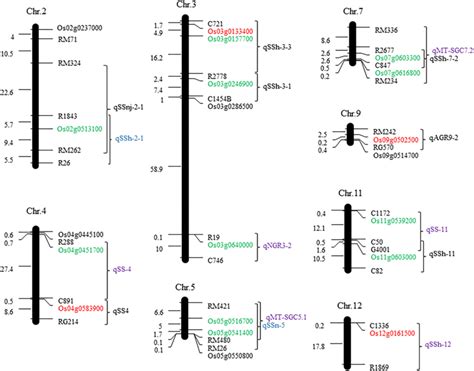 The Differentially Expressed Genes Co Localized With Previously