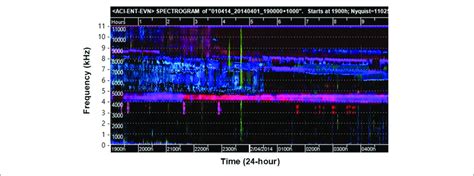 False Color Spectrogram Of A Recording Used In This Study Showing A